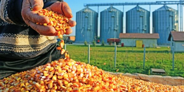 Food Processing Industry In India Anakeen Business Networks food-processing-industry-in-india-anakeen-business-networks